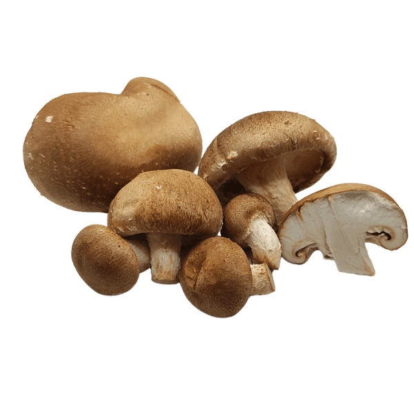 Verdura Box- Shiitake gljive